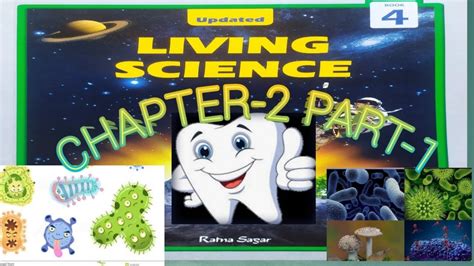Teeth And Microbes Class Chapter Part Youtube