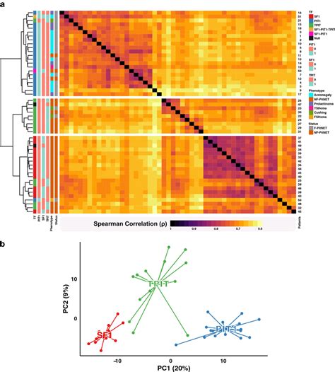 Overview Of The Expression Profiles Of The Protein Coding Genes In The