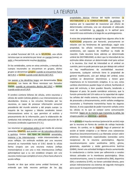 La Neurona Psico Sin Filtro UDocz