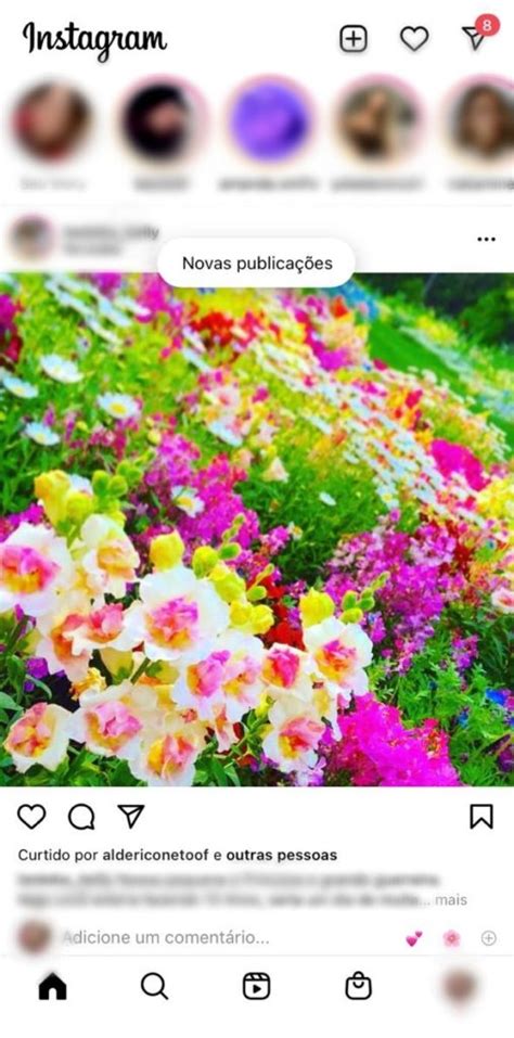 Como Fazer Um Instagram De Sucesso E Ganhar Seguidores