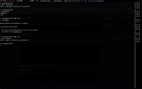 iterm locked the terminal session is showing a lock image and won t let me run basic commands