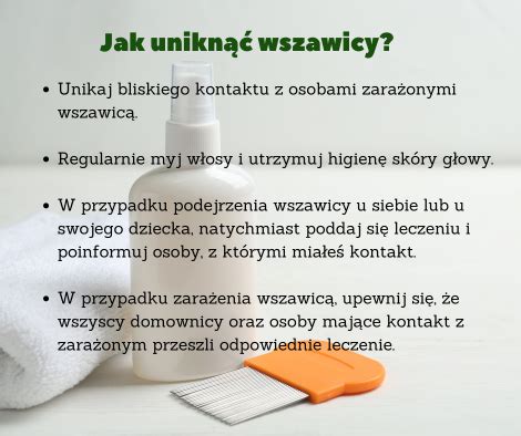 Wszawica u dzieci i dorosłych przyczyny objawy leczenie i