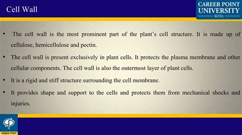 3 Ultrastructure Of Prokaryotes PPT