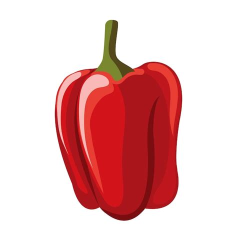 Dibujos animados vector ilustración objeto aislado alimentos frescos