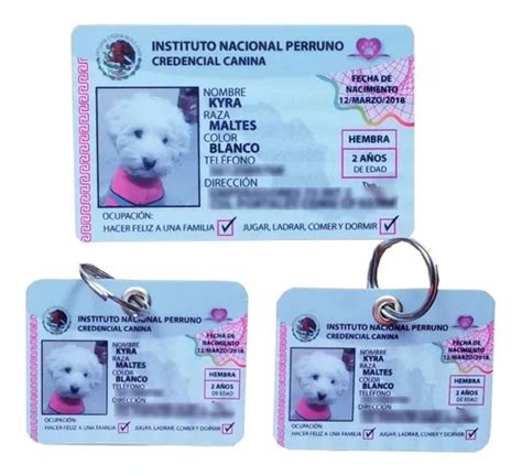 Kit Credencial Para Mascotas Tipo Ine Ife Perro Con Env O Env O Gratis
