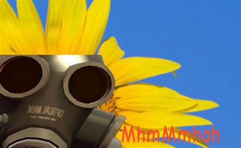 Pyro Tf2 Scout Tf2 Memes Man Games Tomfoolery Team Fortress 2 Pyro