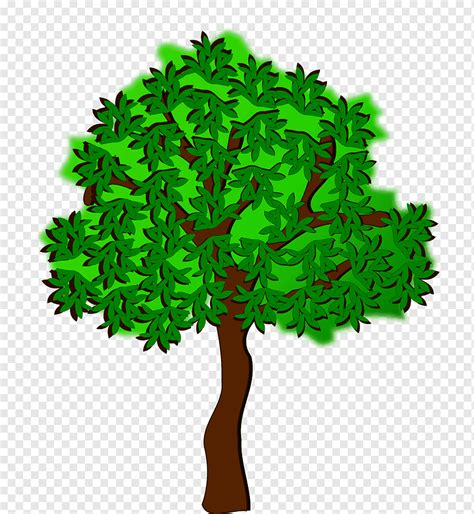 Flora Naturaleza Planta Árbol png PNGWing