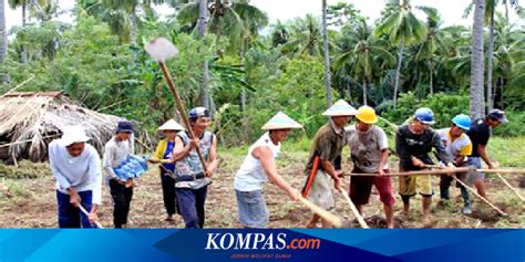 Mengenal Mapalus Budaya Gotong Royong Di Minahasa