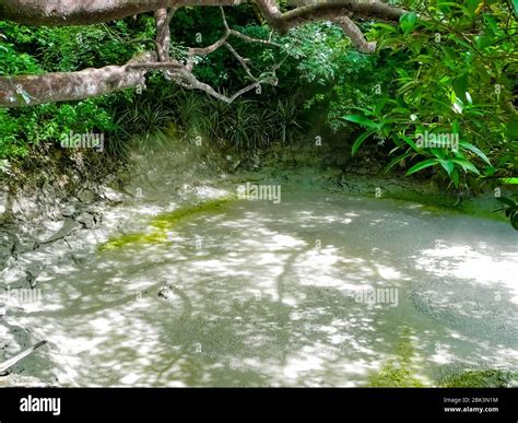 Boiling Mud Pot In Rincon De La Vieja National Park Guanacaste Costa
