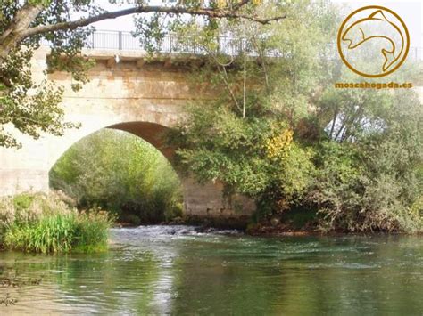 La pesca con mosca ahogada en León Tramos AREC en el río Esla