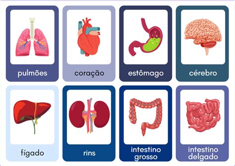 Jogo da memória órgãos do corpo humano Educa Market Conheça o