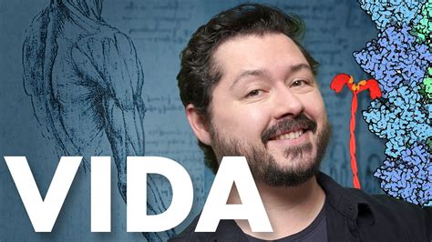 O significado da vida são os MÚSCULOS YouTube