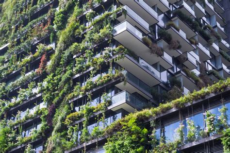 Construcciones Sustentables Para Un Futuro Mejor Blog