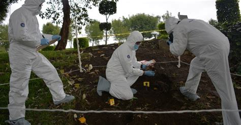 Hallazgos De Fosas Clandestinas En Veracruz Reiteran La Importancia De