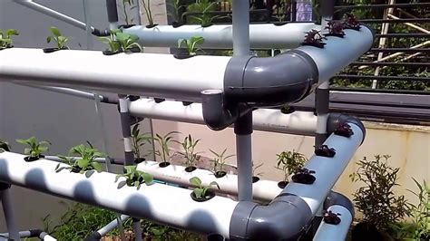 Cara Kerja Hidroponik Sistem DFT Deep Flow Technique YouTube