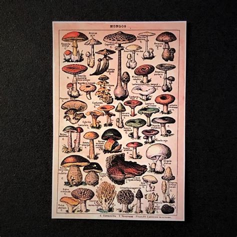 Se produkter som liknar Miniatyr skolplansch poster s på Tradera