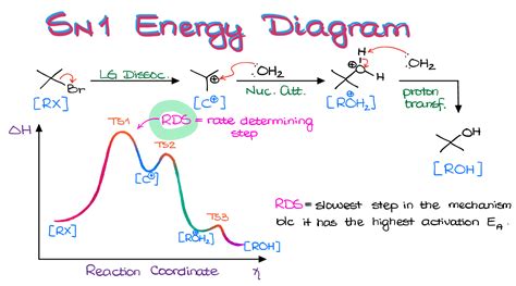 SN1 Reactions Organic Chemistry Tutor
