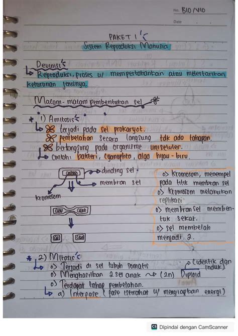 Solution Sistem Reproduksi Manusia Studypool