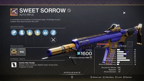 The 6 Best Auto Rifles To Get Before The Primary Buff In Destiny 2