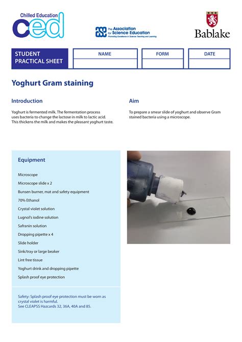 Yoghurt Gram Staining Student Prac Sheet STUDENT PRACTICAL SHEET