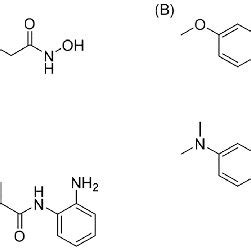 Reported A Conventional And B Photoswitchable HDAC Inhibitors