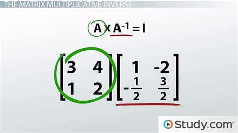 multiplicative inverses of matrices and matrix equations video and lesson transcript