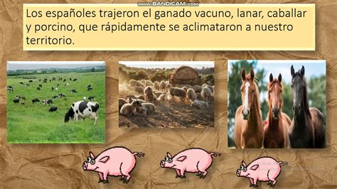 Actividades Econ Micas En El Virreinato Peruano Ii Youtube