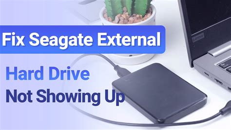 Fixedseagate External Hard Drive Not Showing Up Works On Windows