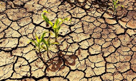 Un nuevo informe muestra los efectos del cambio climático y los