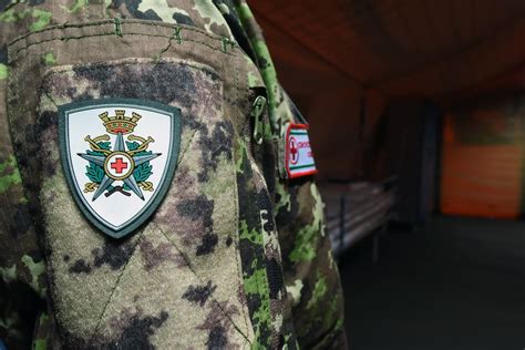 Concorso VFP4 Esercito 2024 Bando Requisiti Cosa Studiare