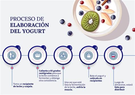 Todo sobre el proceso de elaboración de yogurt Aprende Institute