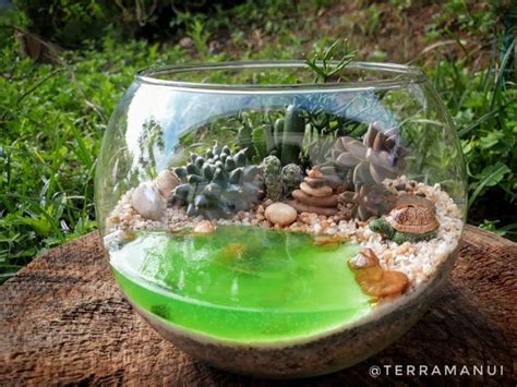 Pin em Terrários e aquarios