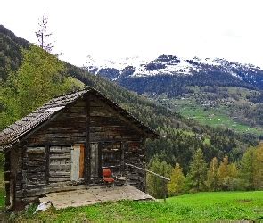 Tapety zdjęcia Polska Drzewa Jezioro Morskie Oko Lato Góry Tatry