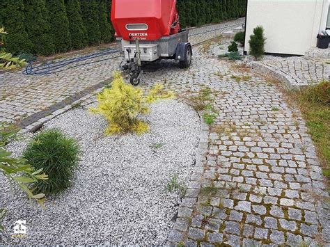 Jak usunąć mech z kostki brukowej poradnik krok po kroku