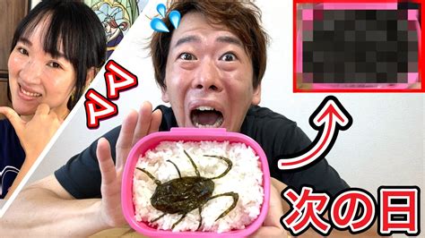 【閲覧注意】ママを3日連続で怒らせた後のお弁当がさすがにやばすぎた😱 Youtube