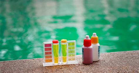 Eliminación de algas en la piscina Guía completa con para prevenir
