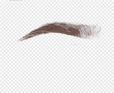 Eyebrow Texture Png