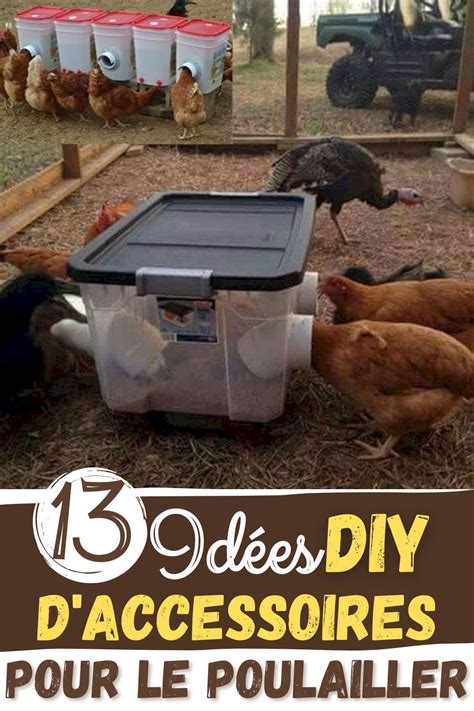 13 Idées DIY d accessoires innovants pour le poulailler Poulailler