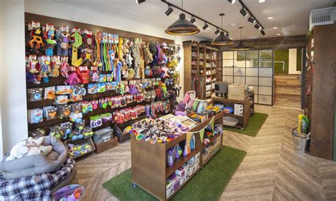Franquicias De Tiendas Para Mascotas 10 Ideas Rentables Para Invertir