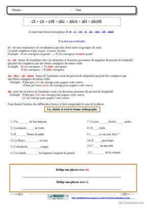 24 Homophone Français FLE fiches pedagogiques pdf doc