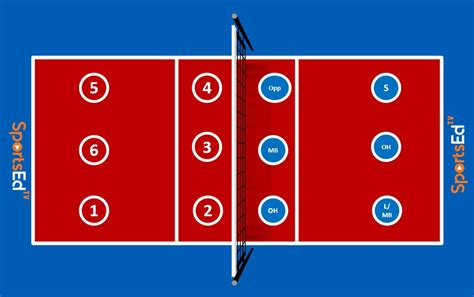 Best Positions For Volleyball At Kelsey Dougherty Blog