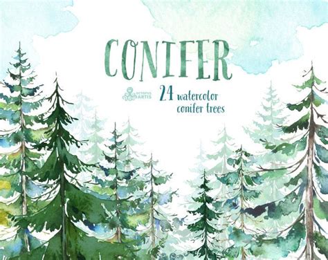 Nature Page Border Design Clip Art Library