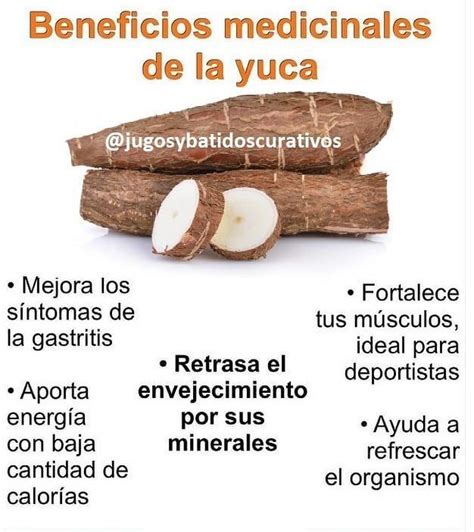 Descubre los beneficios y propiedades saludables de la yuca Qué tan