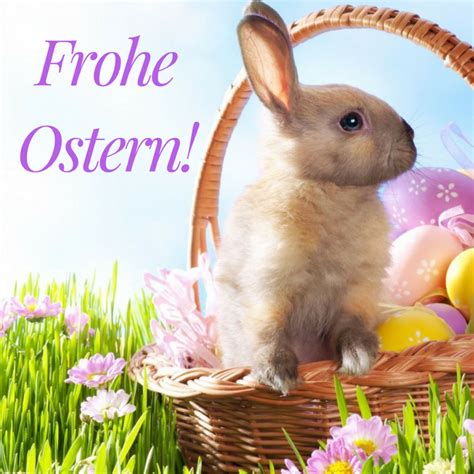 50 schöne Frohe Ostern Bilder Ostergrüße kostenlos cool und lustig