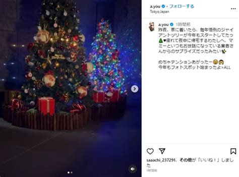 浜崎あゆみ自宅に設置した巨大クリスマスツリーが規格外フォトスポット始まったよ 過去にも豪邸ぶりが話題に1 2 ページ ねとらぼ