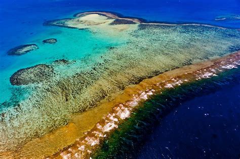 Arial Views Of Coral Reefs Aerial View New Caledonia Barrier Reef A