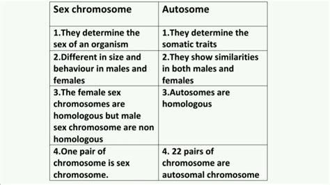 difference between sex chromosome and autosomal chromosome youtube
