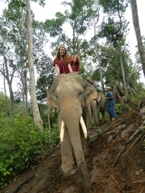 Pin Auf Elephants And Sexy Women 7 Elefanten Fun Travel Reise