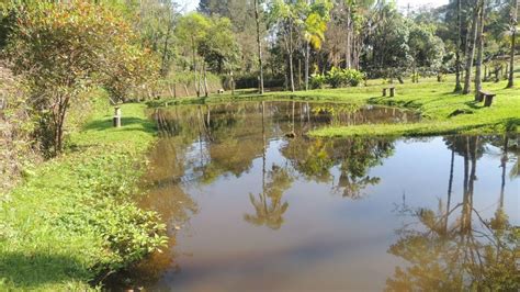 Chácara à Venda PISCINA e LAGO em Juquitiba SP 2 350 m² R 490