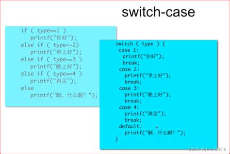 分支 switch case break csdn博客